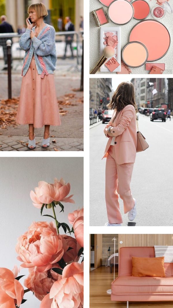 2019 Pantone Color of The Year | The Teacher Diva: a Dallas Fashion ...